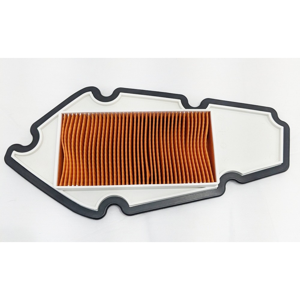 Air Filter - Genuine Scooters Hooligan 170i