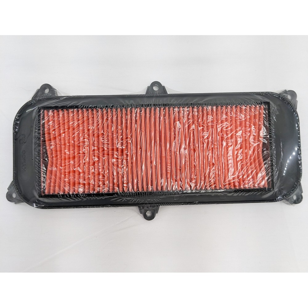 Air Filter - Yager / Grand Vista / Xciting 250 - 1721a-KKC3-900