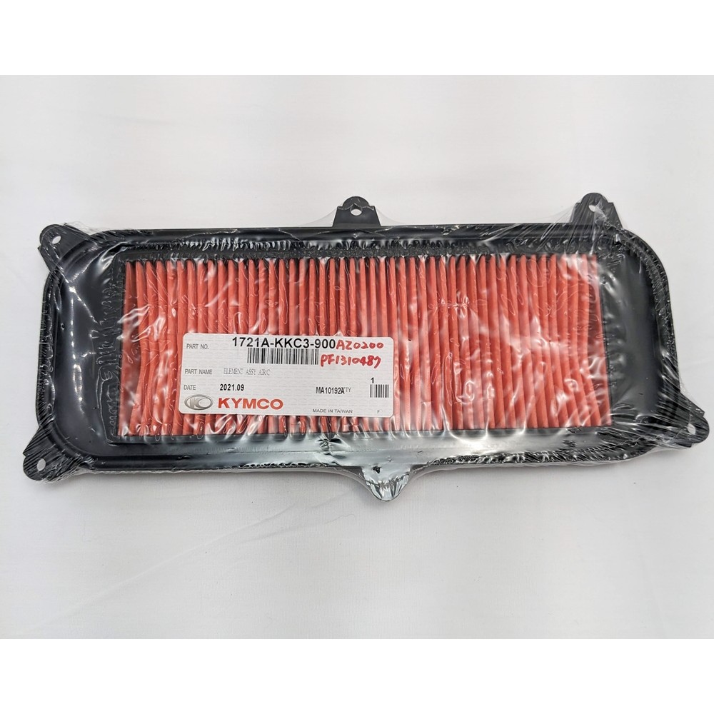 Air Filter - Yager / Grand Vista / Xciting 250 - 1721a-KKC3-900